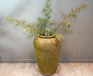 Green Mottled Clay Pot - DGA by Tina Bird