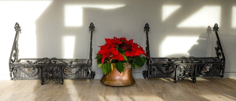 A Pair of British Vintage Wrought Iron Window Boxes - DGA by Tina Bird