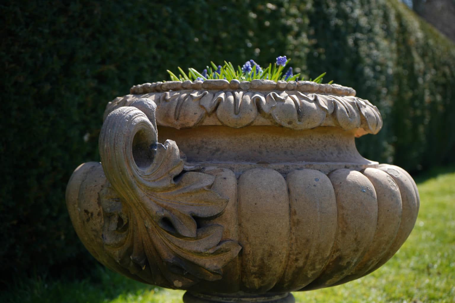 Large Scale Terracotta Garden Urn by James Pulham - DGA by Tina Bird