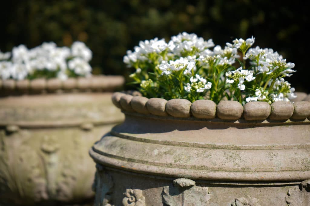 Rare Pair Meux Pots by James Pulham - DGA by Tina Bird