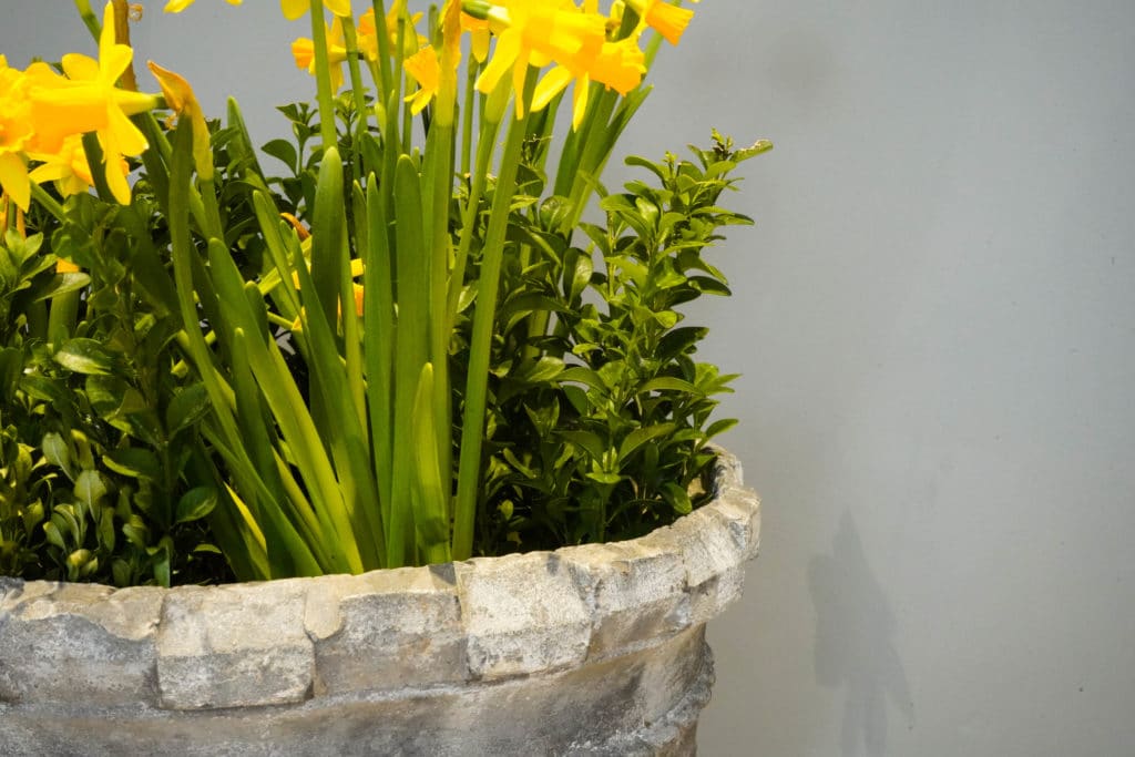 A Pair Lead Garden Planters - DGA by Tina Bird