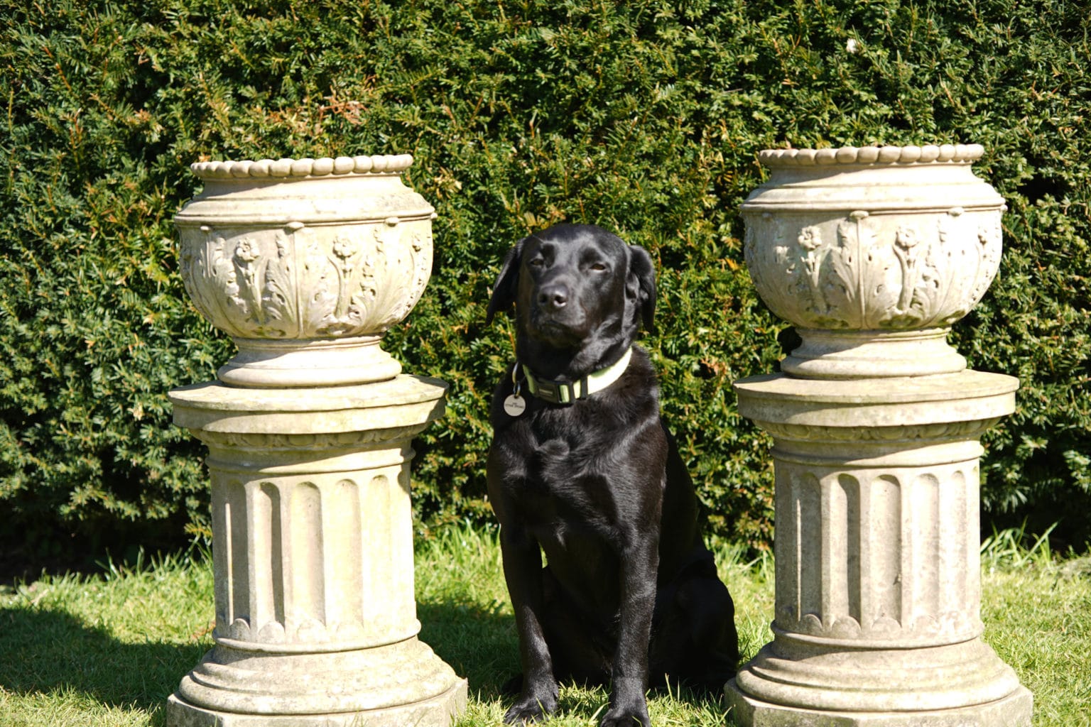Rare Pair Meux Pots by James Pulham - DGA by Tina Bird
