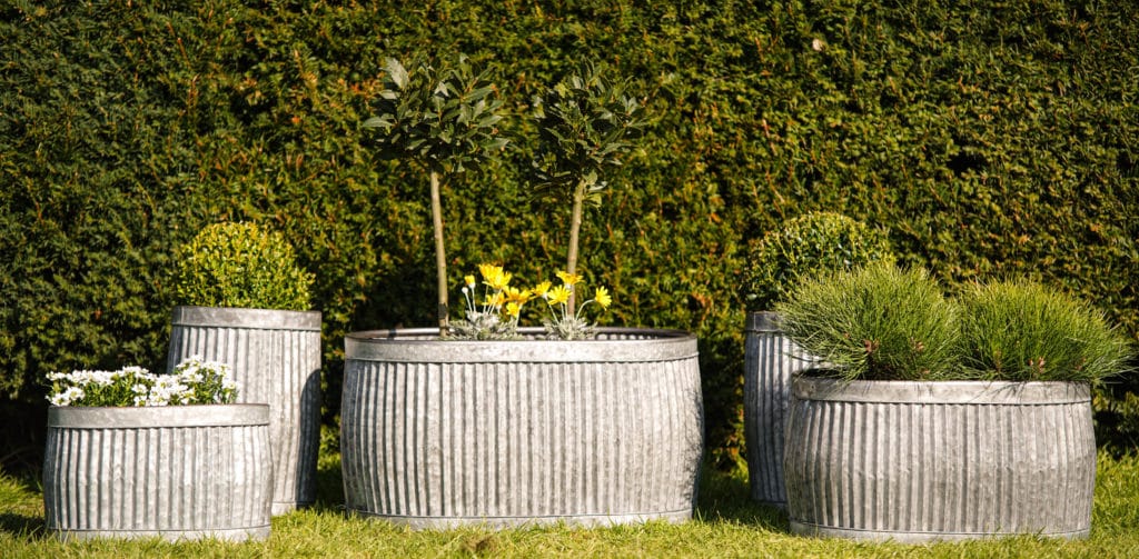 Set of 5 Vintage Galvanized Planters - DGA by Tina Bird