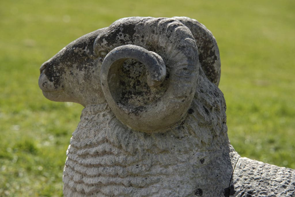 Near Life Size Stone Carving of a Ram - DGA by Tina Bird