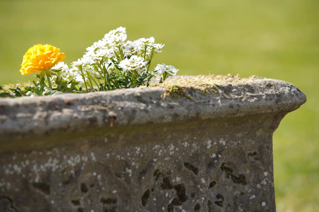 Rectangular Cast Stone Chilstone Planter - DGA by Tina Bird
