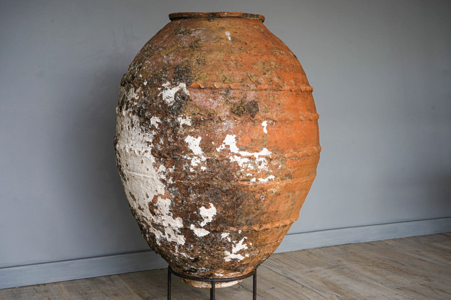 Giant Portuguese Antique Olive jar - DGA by Tina Bird