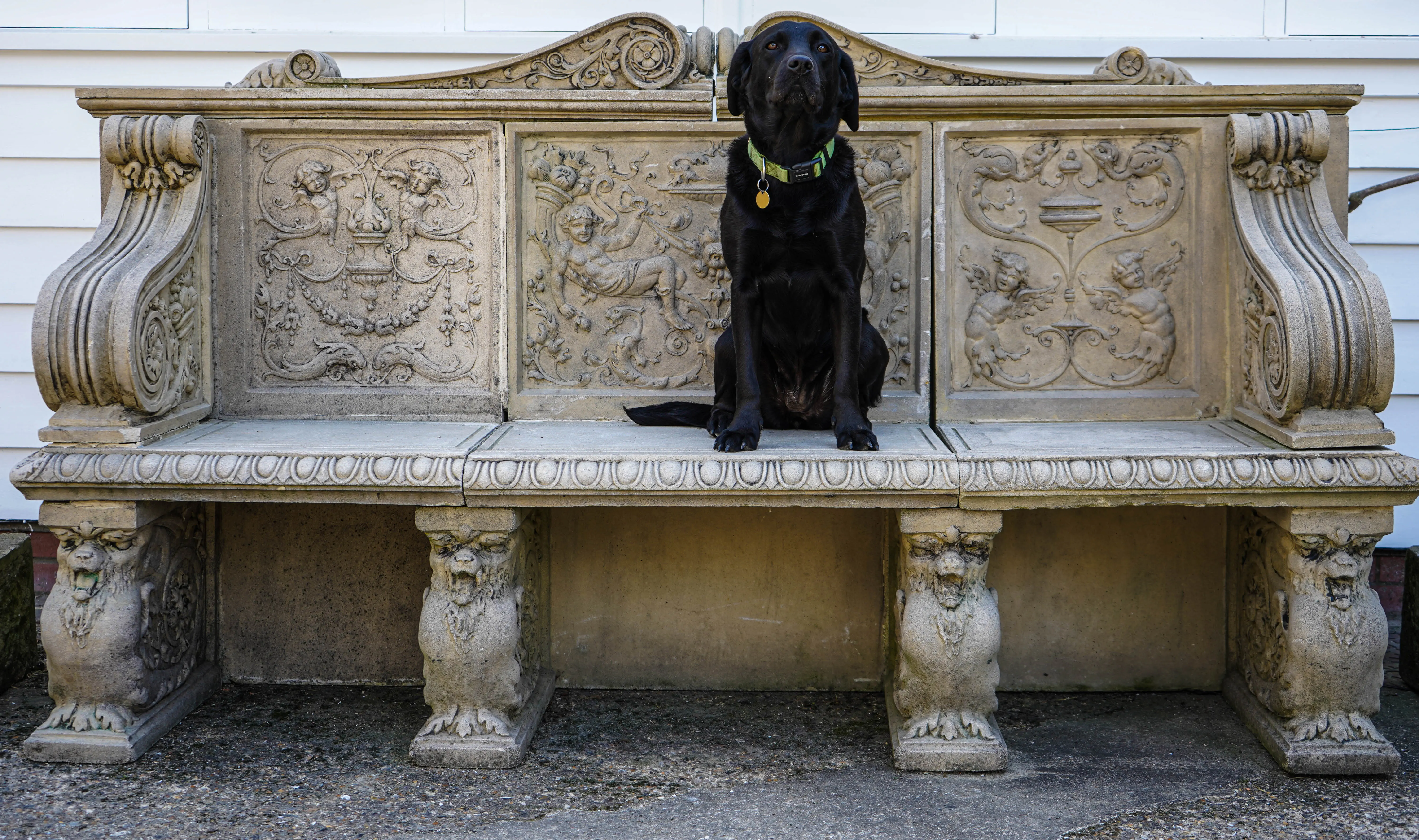 Hunting Dog Cast Iron Garden Bench - DGA by Tina Bird