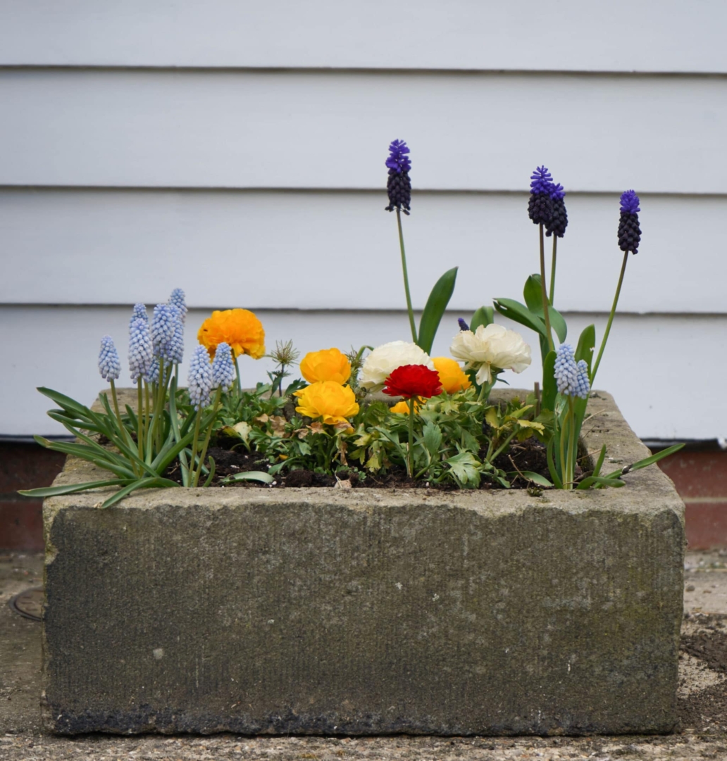 Double-Length Rectangular Cast Stone Chilstone Planter - DGA by Tina Bird