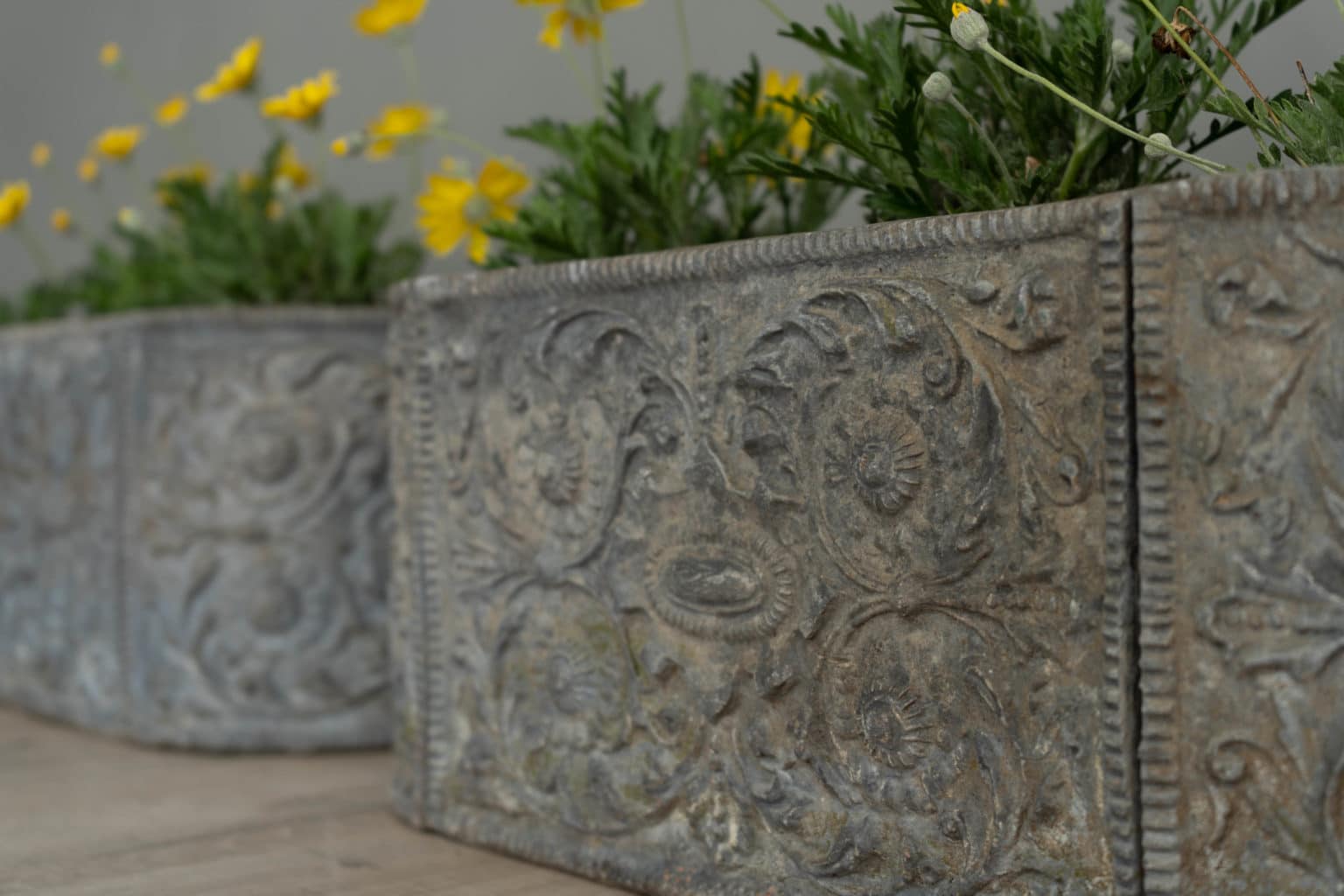 A pair of decorative Lead rectangular Garden Planters - DGA by Tina Bird