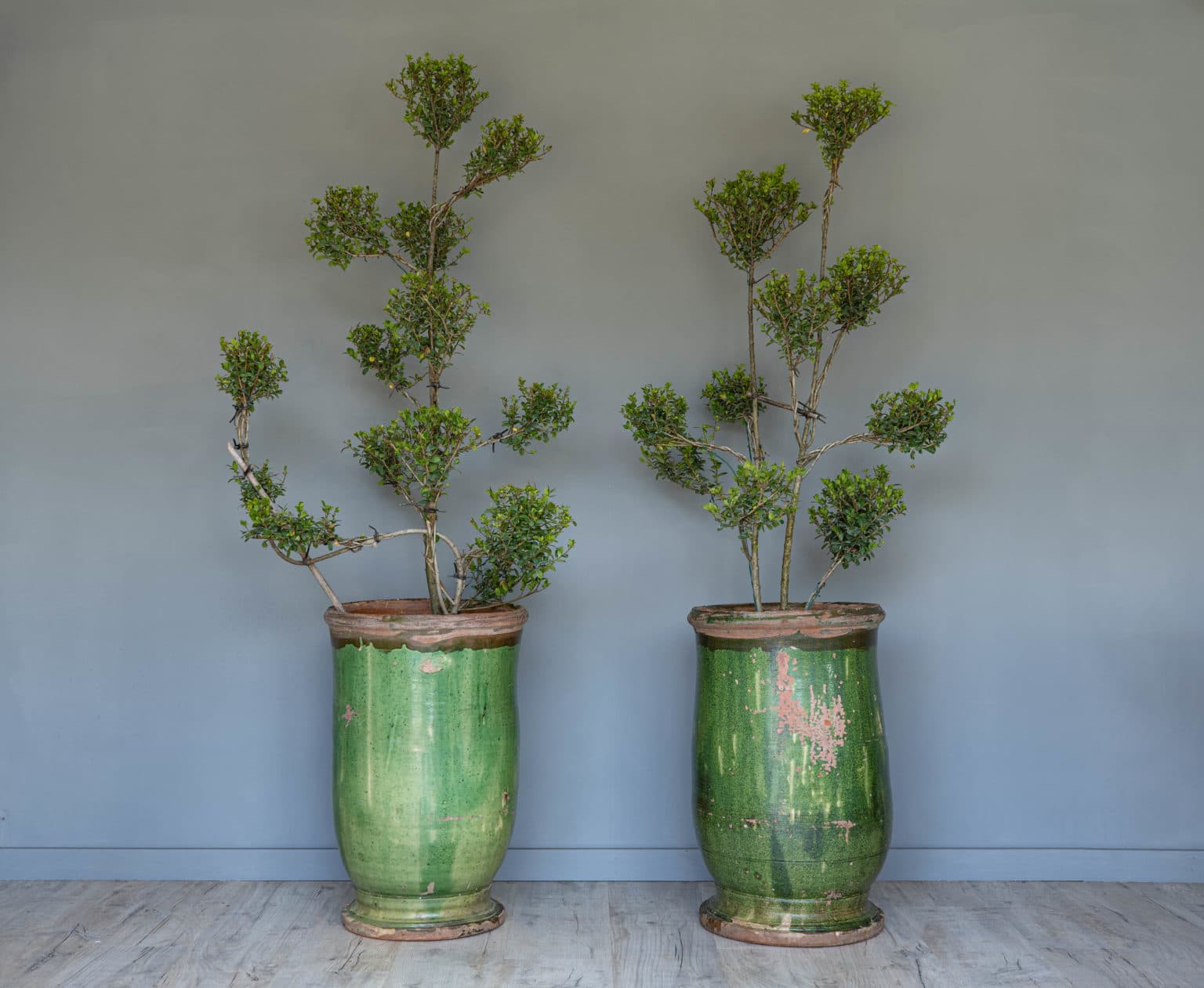 Green Mottled Clay Pot - DGA by Tina Bird