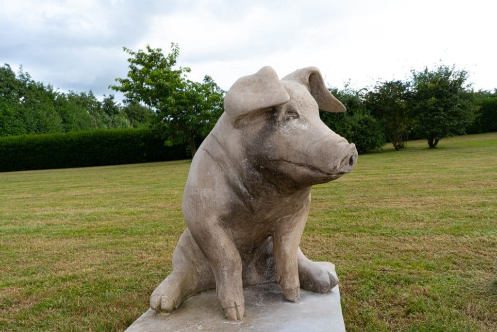 Two Portland Stone Life Size Garden Pig Statues - DGA by Tina Bird