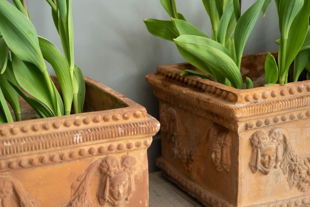 A Pair of rectangular antique Terracotta Planters - DGA by Tina Bird