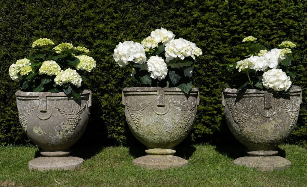 Trio of Cast Stone Garden Planters - DGA by Tina Bird