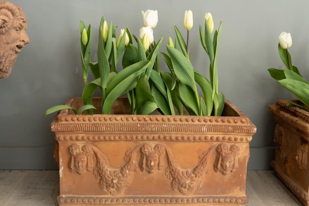 A Pair of rectangular antique Terracotta Planters - DGA by Tina Bird