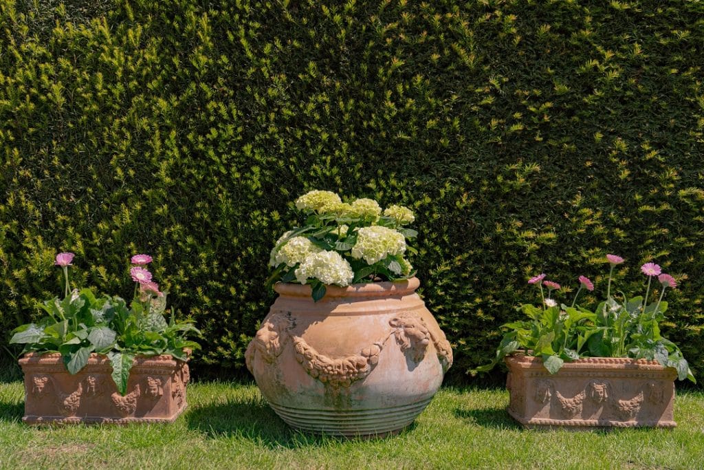 A Pair of rectangular antique Terracotta Planters - DGA by Tina Bird