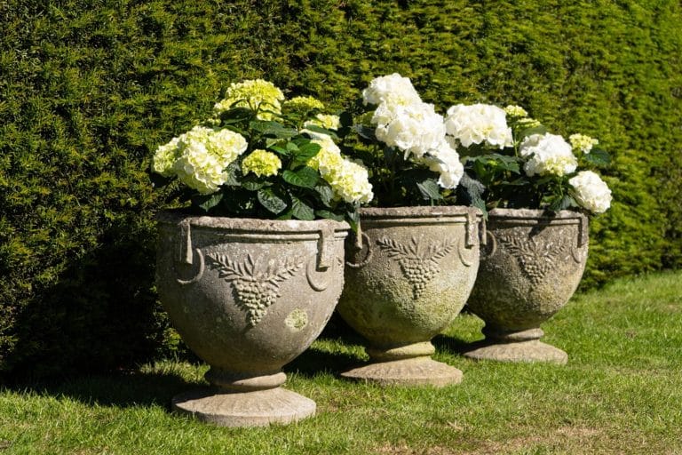 Trio of Cast Stone Garden Planters - DGA by Tina Bird