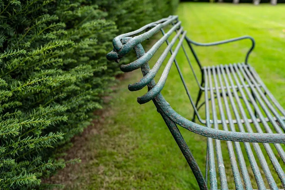 Antique Arras Large Garden Bench - DGA by Tina Bird