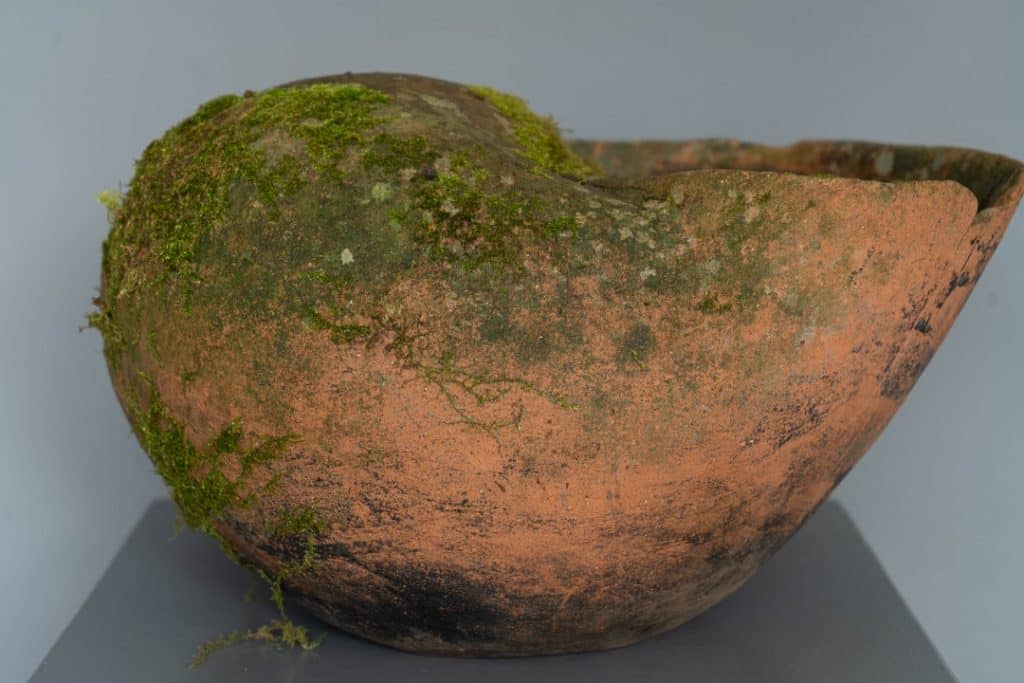 Vintage Terracotta Garden Snail Shell Planter - DGA by Tina Bird