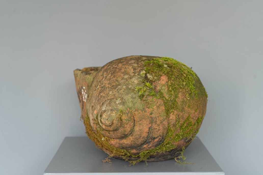 Vintage Terracotta Garden Snail Shell Planter - DGA by Tina Bird
