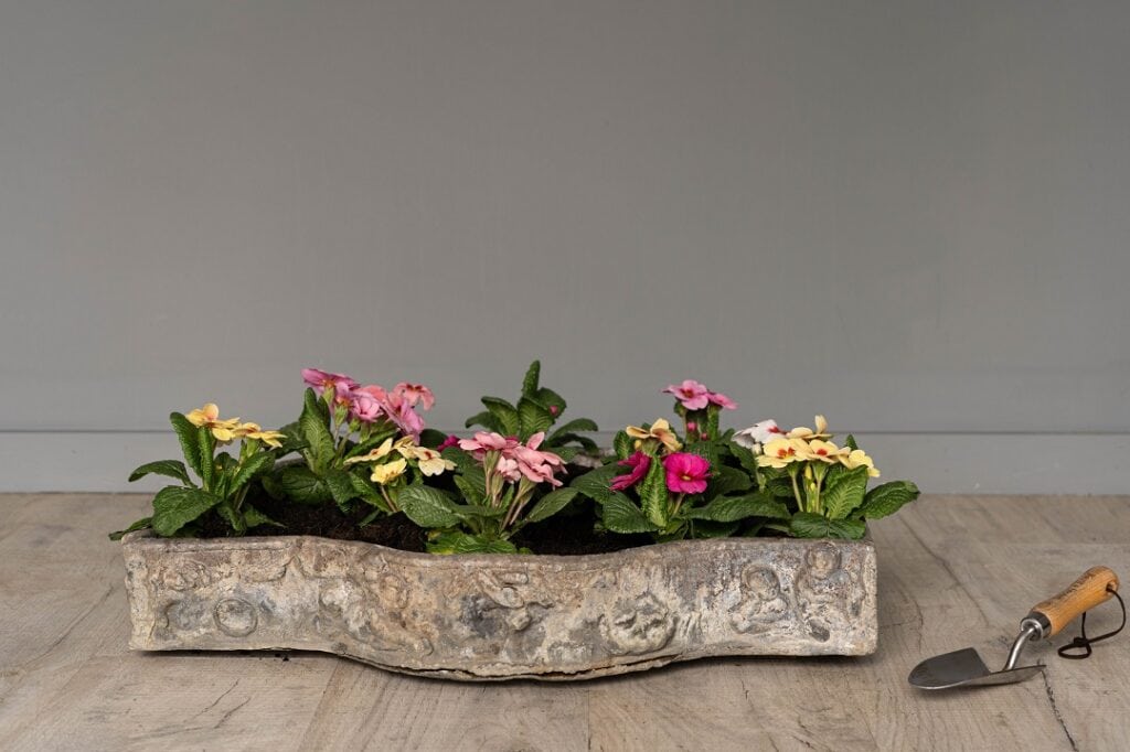 Antique Lead Garden Planter - DGA by Tina Bird