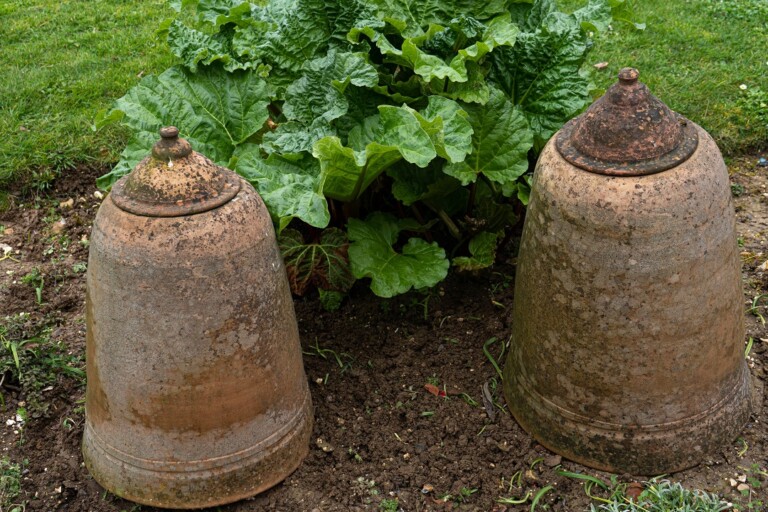 Pair Vintage Rhubarb Forcers - DGA by Tina Bird