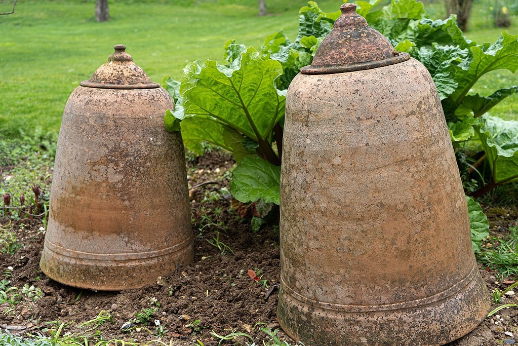 Pair Vintage Rhubarb Forcers - DGA by Tina Bird