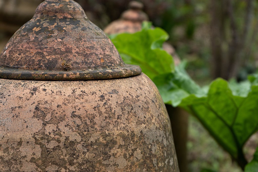 Pair Vintage Rhubarb Forcers - DGA by Tina Bird