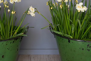 A pair of Large Green Galvanised Garden Planters - DGA by Tina Bird