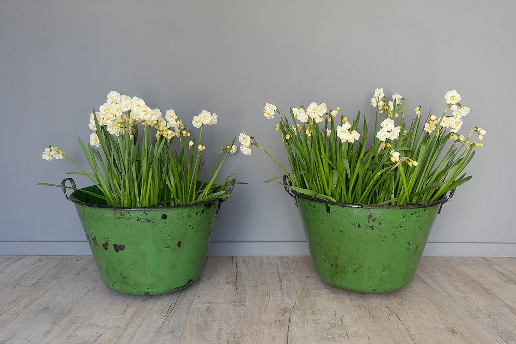 A pair of Large Green Galvanised Garden Planters - DGA by Tina Bird