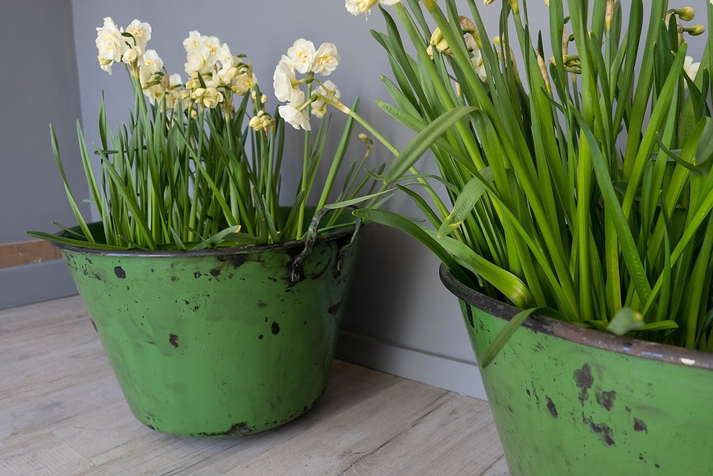 A pair of Large Green Galvanised Garden Planters - DGA by Tina Bird