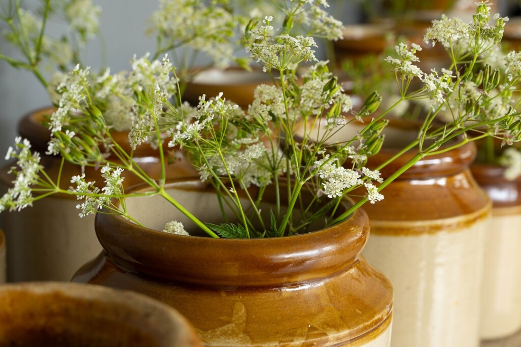 Vintage English Brown Stoneware Pots - DGA by Tina Bird
