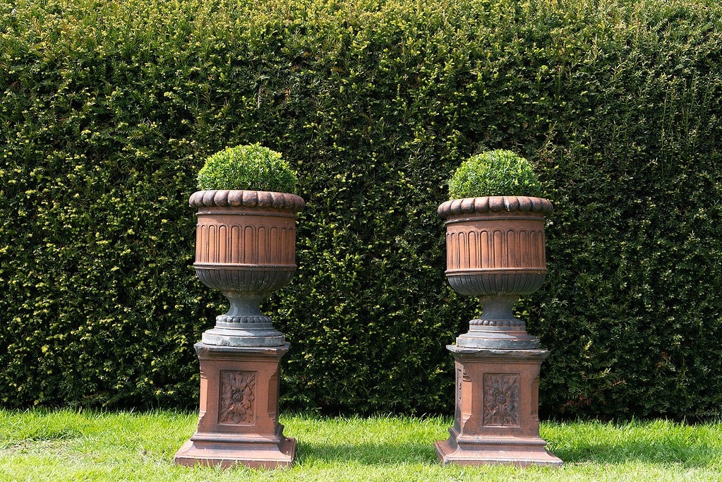 Pair of antique Terracotta Urns on Plinths - DGA by Tina Bird