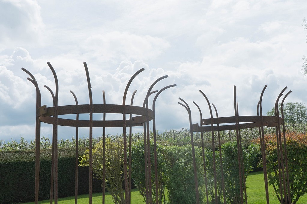 Wrought Iron Tree Guards - DGA by Tina Bird