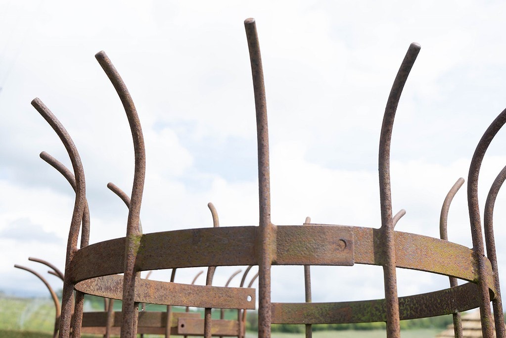 Wrought Iron Tree Guards - DGA by Tina Bird