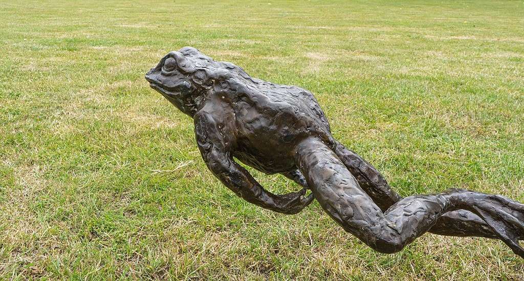 Leaping Frog Sculpture in Bronze Water Fountain - DGA by Tina Bird