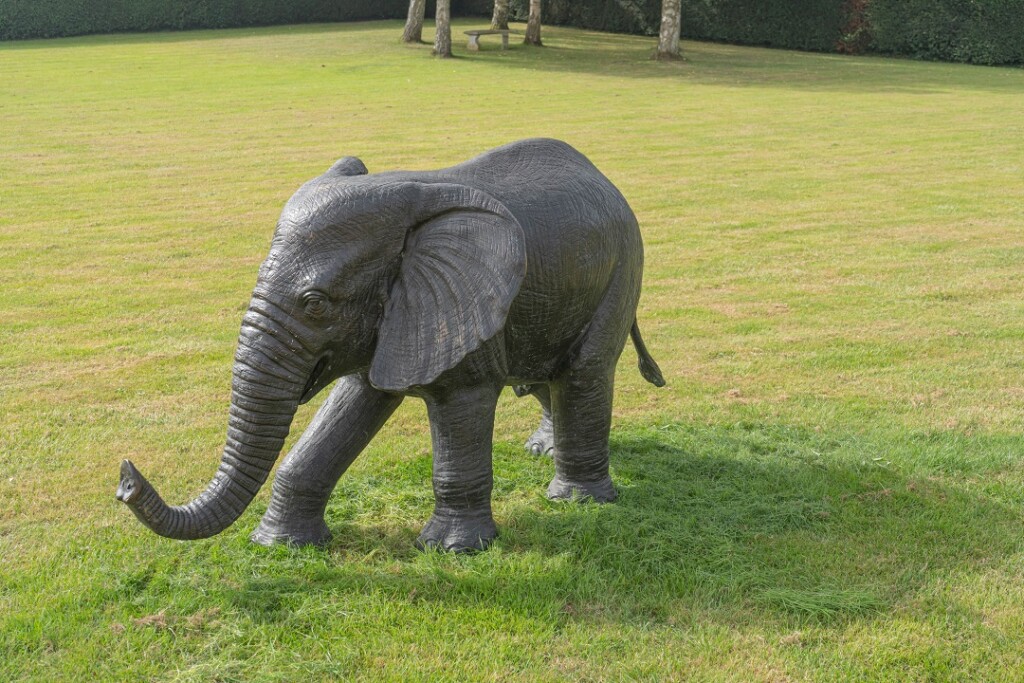 Bronze Garden Elephant Statue or Fountain - DGA by Tina Bird