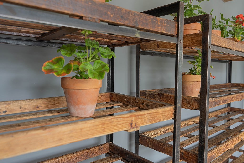 Pair of Vintage Racks on wheels - DGA by Tina Bird