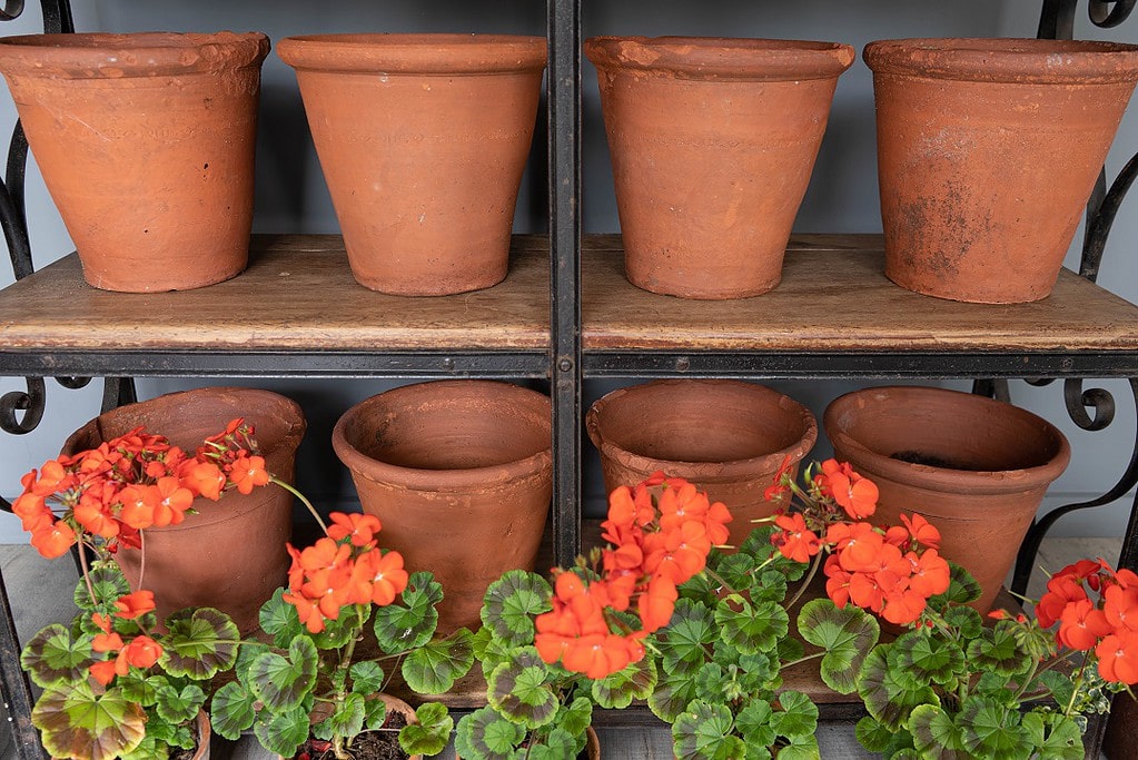 Sankey Bulwell Antique Terracotta Planters - DGA by Tina Bird