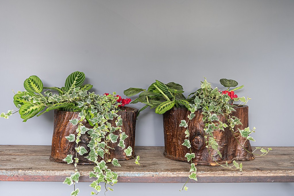 Antique Wooden Japanese Planters - DGA by Tina Bird