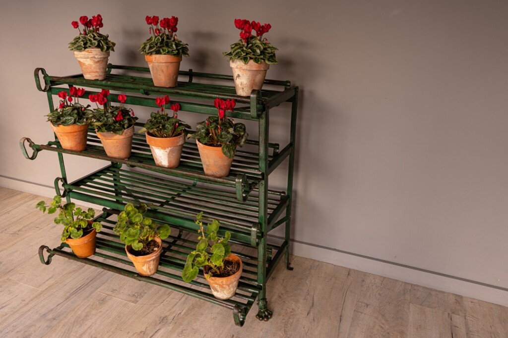 Antique Arras Shelving Plantstand - DGA by Tina Bird