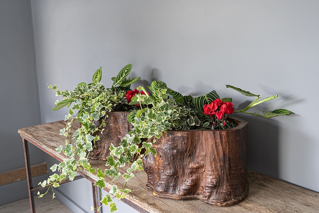 Antique Wooden Japanese Planters - DGA by Tina Bird