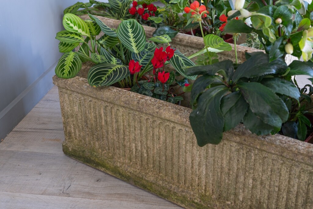 A rectangular Pair of Vintage Garden Planters - DGA by Tina Bird
