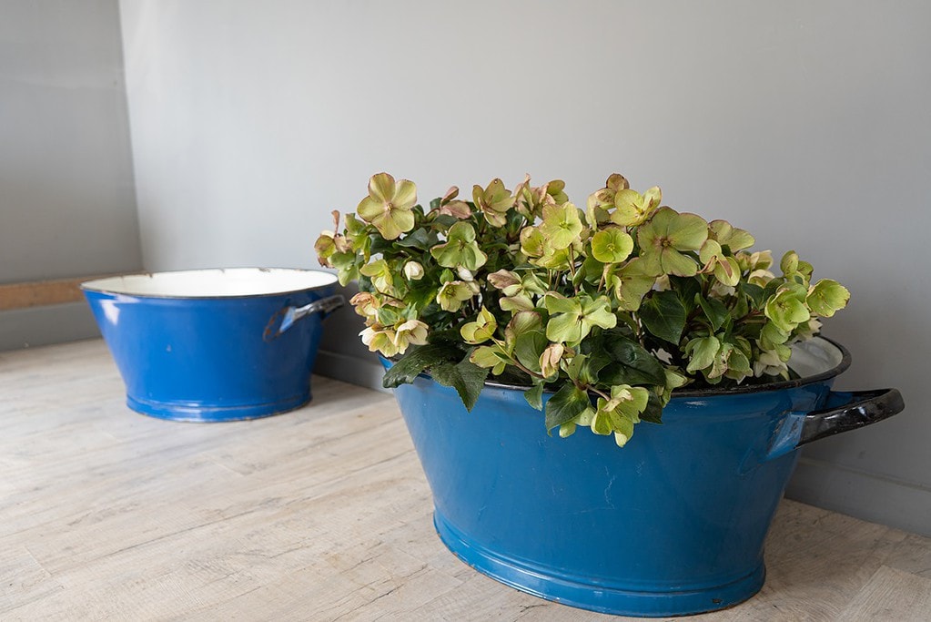 Vintage Blue Enamel Pair of Garden Planters - DGA by Tina Bird