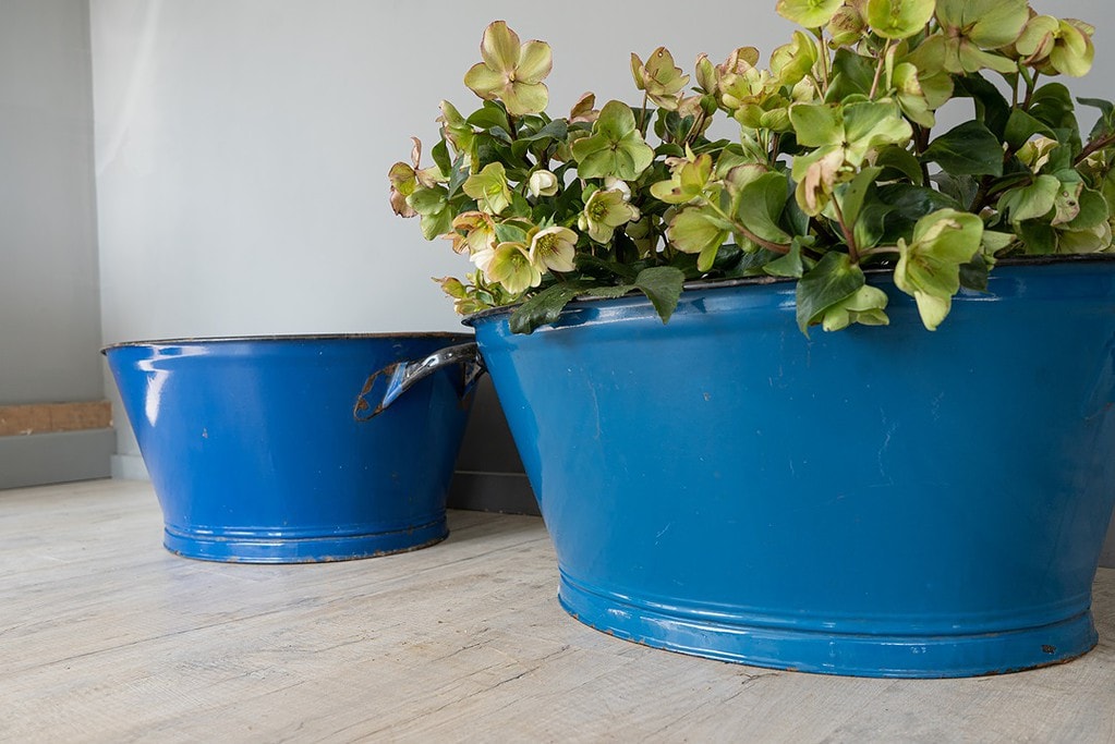 Vintage Blue Enamel Pair of Garden Planters - DGA by Tina Bird