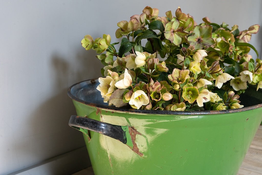 A Green Pair of Vintage Enamel Planters - DGA by Tina Bird