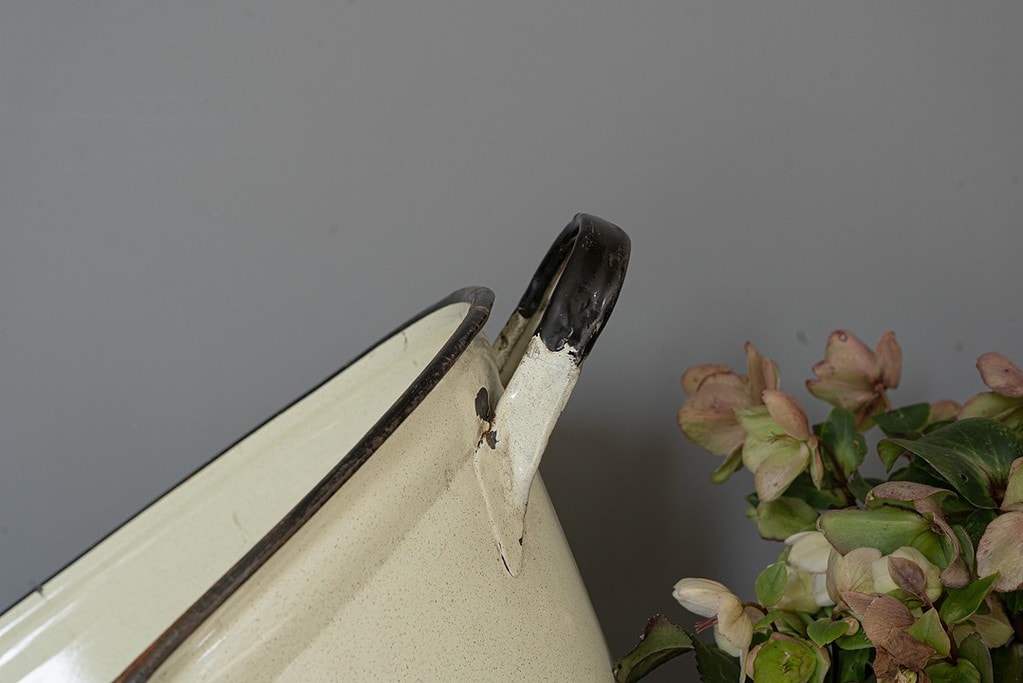 Vintage Cream Pair of Enamel Planters - DGA by Tina Bird