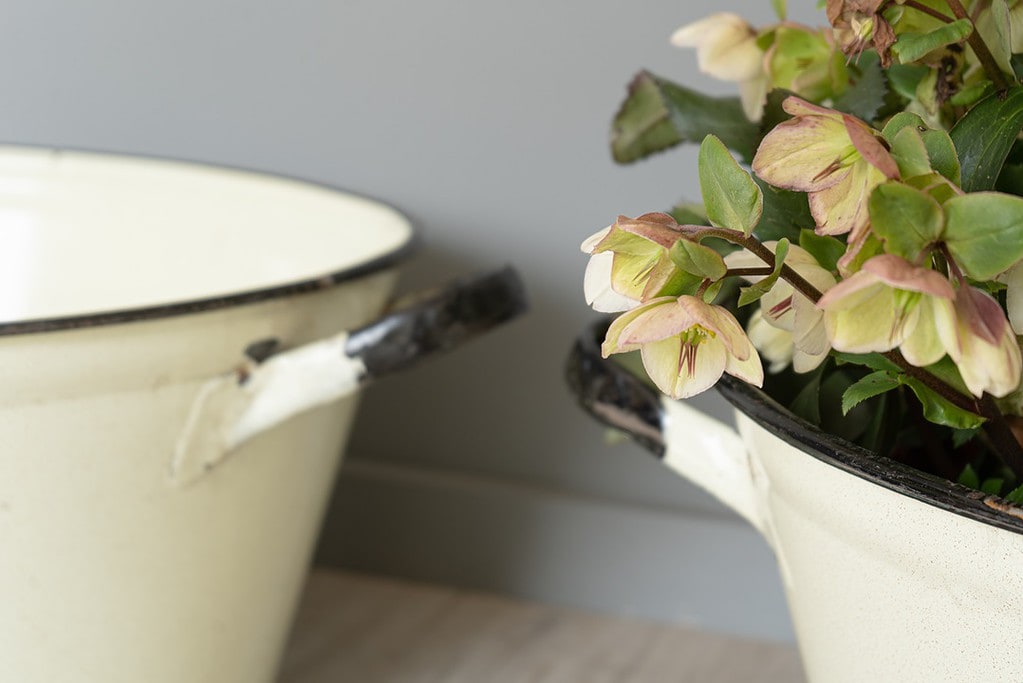 Vintage Cream Pair of Enamel Planters - DGA by Tina Bird