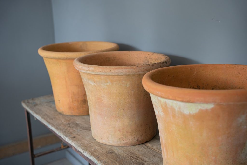 Five 16 inch Large Scale Vintage Terracotta Plants Pots - DGA by Tina Bird