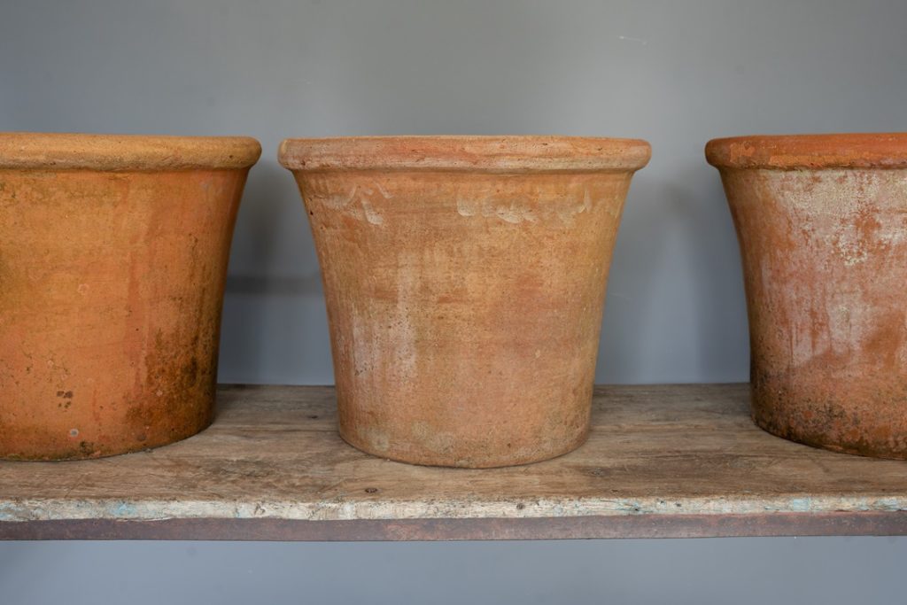 Five 16 inch Large Scale Vintage Terracotta Plants Pots - DGA by Tina Bird