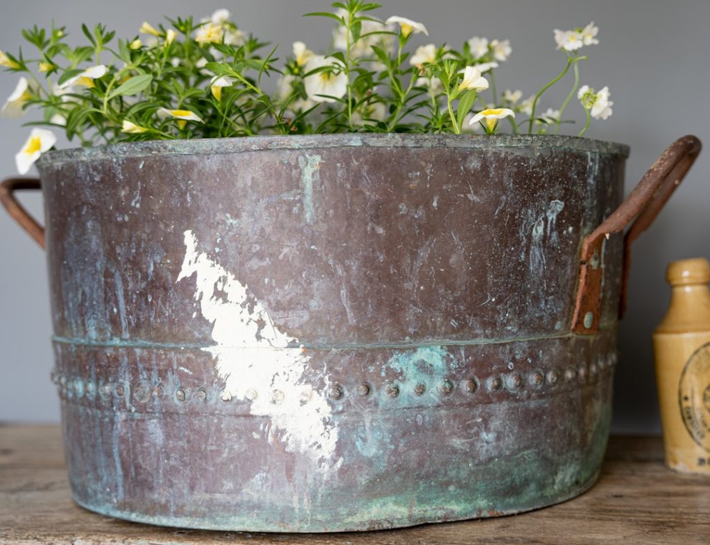 Antique Copper Pot Planter - DGA by Tina Bird